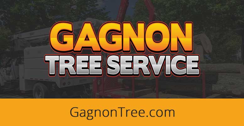 GTS - Gagnon Tree Service